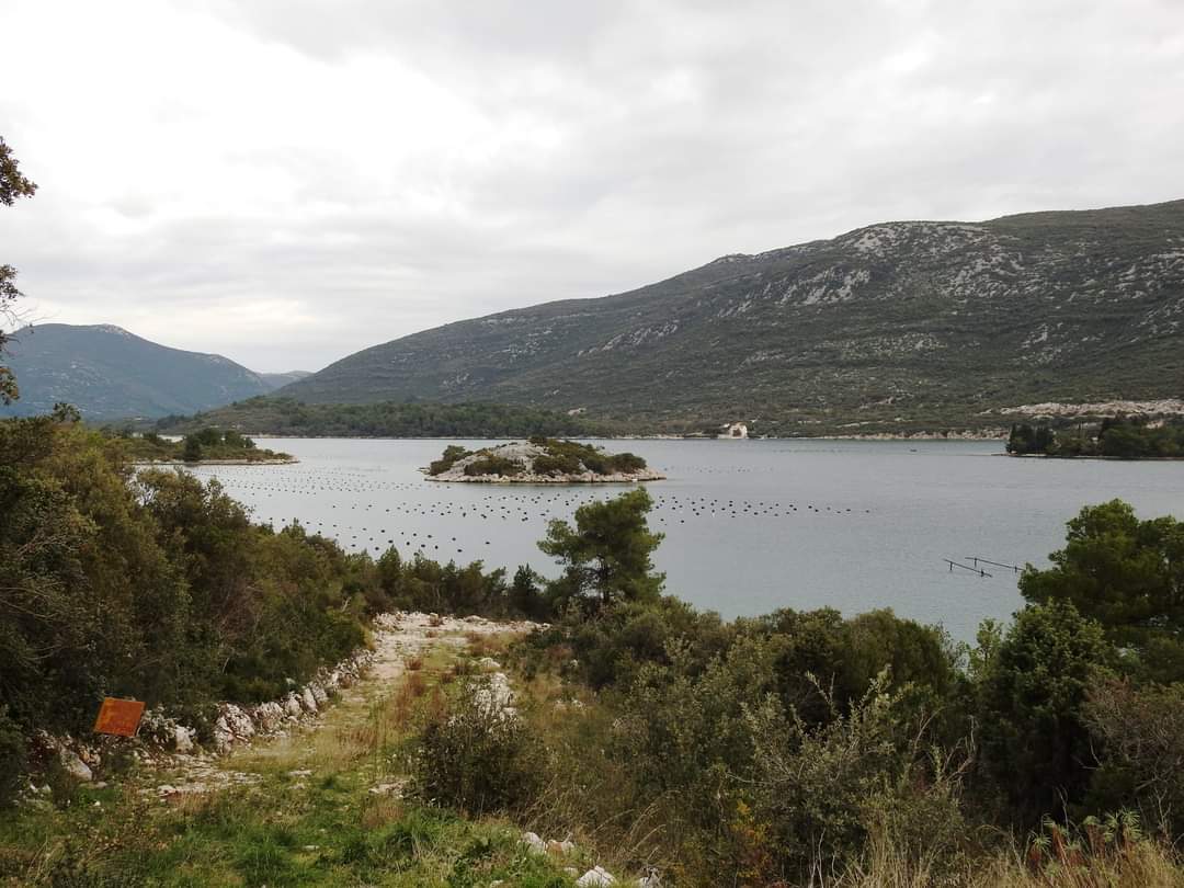 Članovi “Brkate sjenice” tradicionalno sudjelovali u zimskom ...